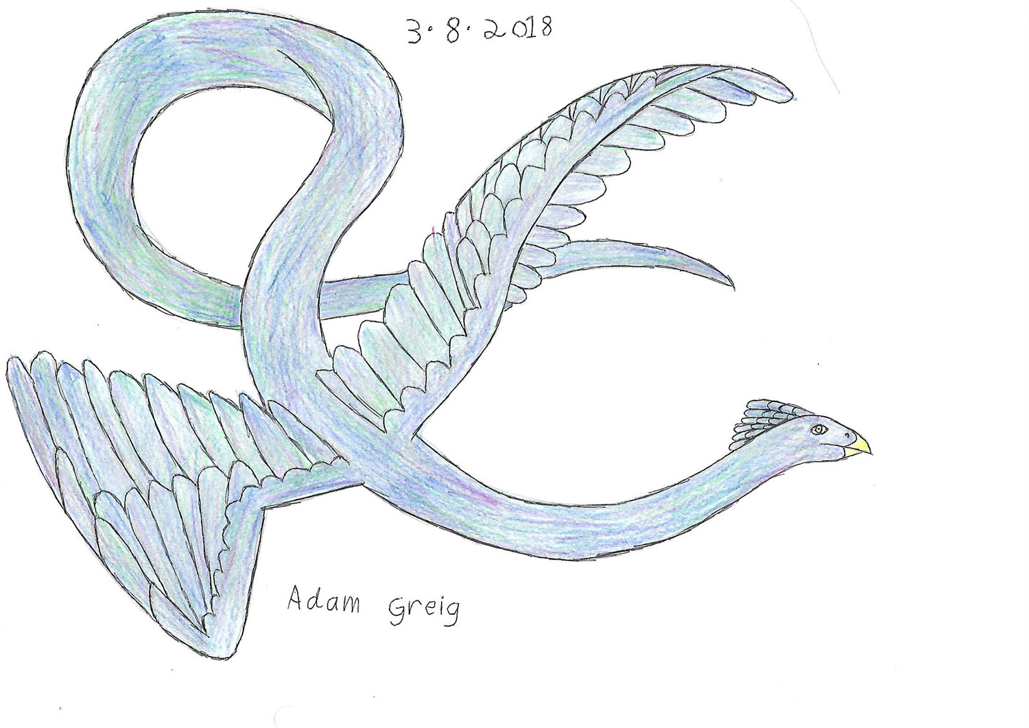 Adam Greig – Honeybee Creative